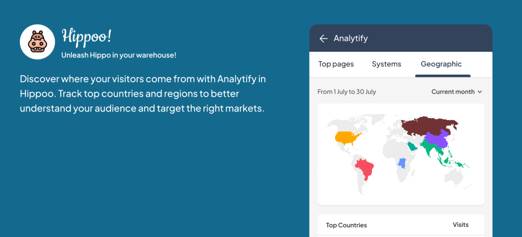 Track Your Website Performance with Analytify in Hippoo | Hippoo ...